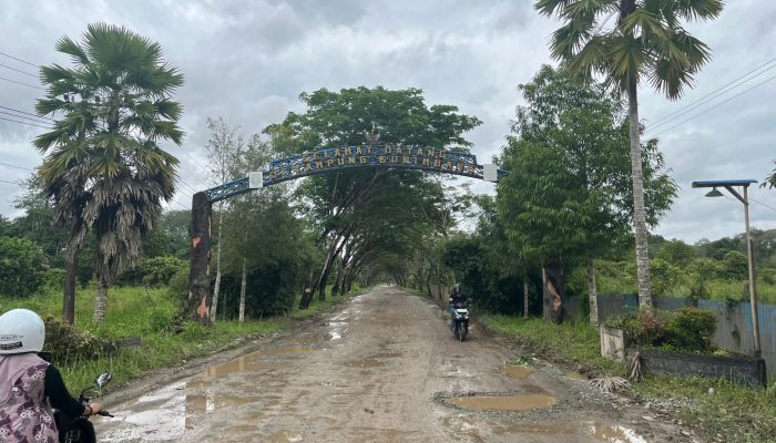 Warga Keluhkan Kerusakan Jalan Menuju Kampung Gurimbang - Harapan Post